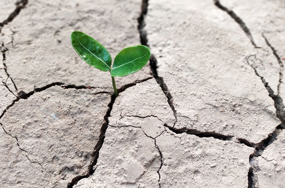Sunway Group | Corporate Sustainability - Sustainability Reports & Policies